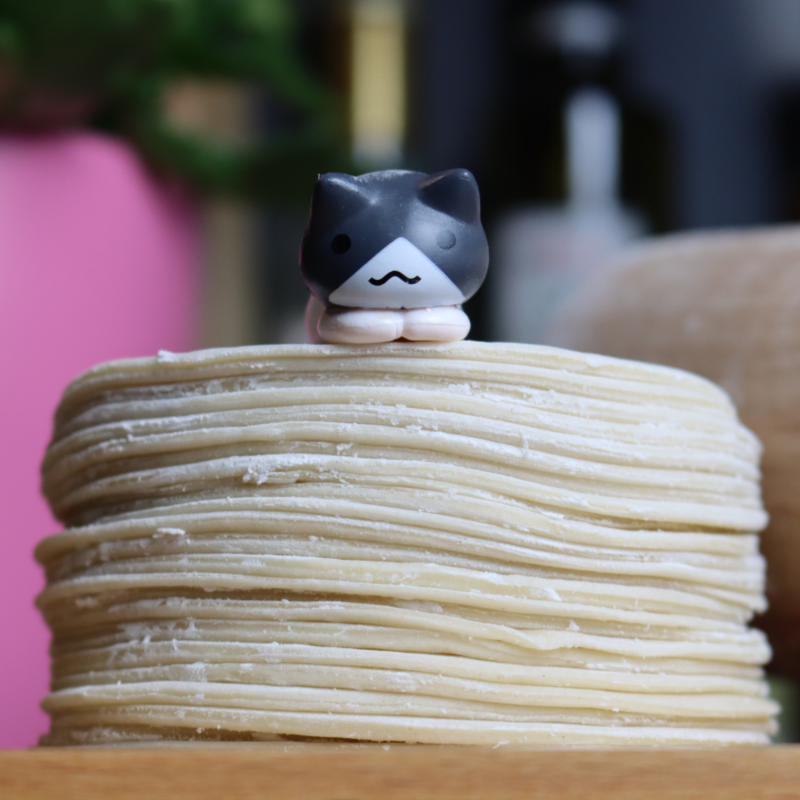Homemade Gyoza Wrappers (4 SIMPLE Ingredients!) - That Cute Dish!