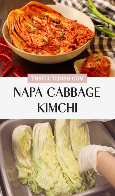 Napa Cabbage Kimchi (Authentic & Delicious!) - That Cute Dish!