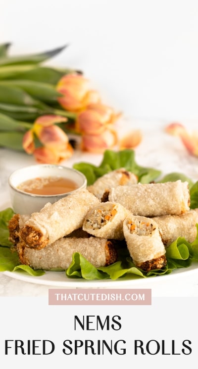 Vietnamese Fried Spring Rolls - Chả Giò / Nem Rán (Better than Takeout ...