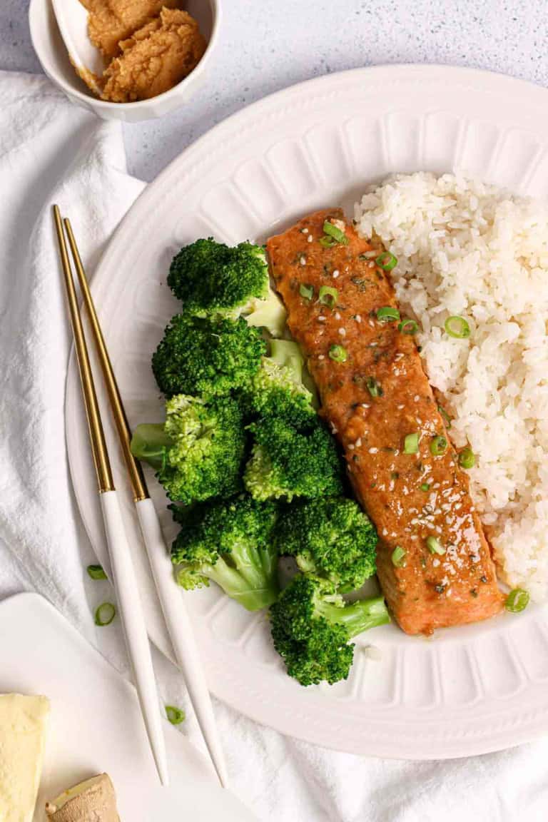 Salmon Fried Rice (20 MINUTES!) - That Cute Dish!